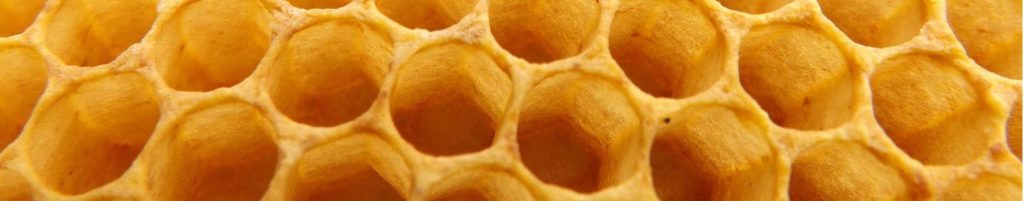 Digital-Hive – Hive for Consulting in a Digital world